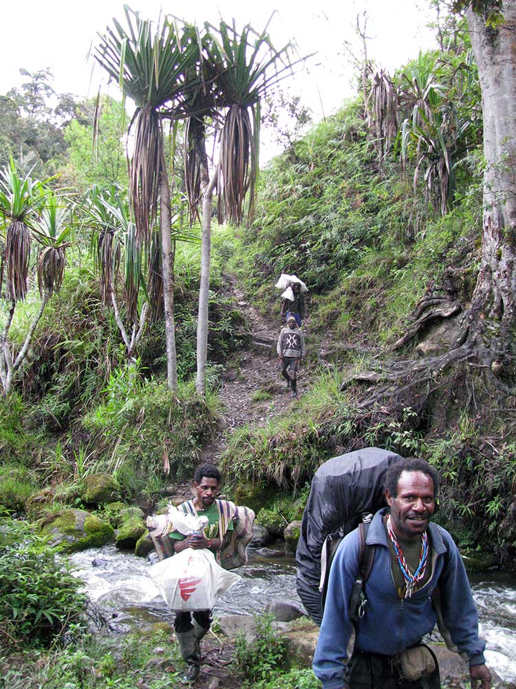 Climb Carstensz Pyramid with Adventure Peaks | Adventure Peaks