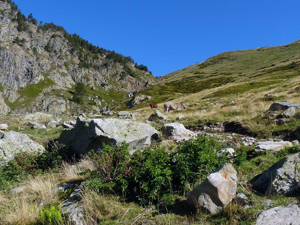The Alt Pireneau natural park with Adventure Peaks | Adventure Peaks